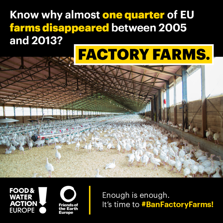 The Urgent Case to Stop Factory Farms in Europe - Food & Water Action ...